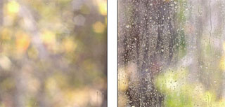 PPG introduces SUNCLEAN self-cleaning glass for commercial applications
